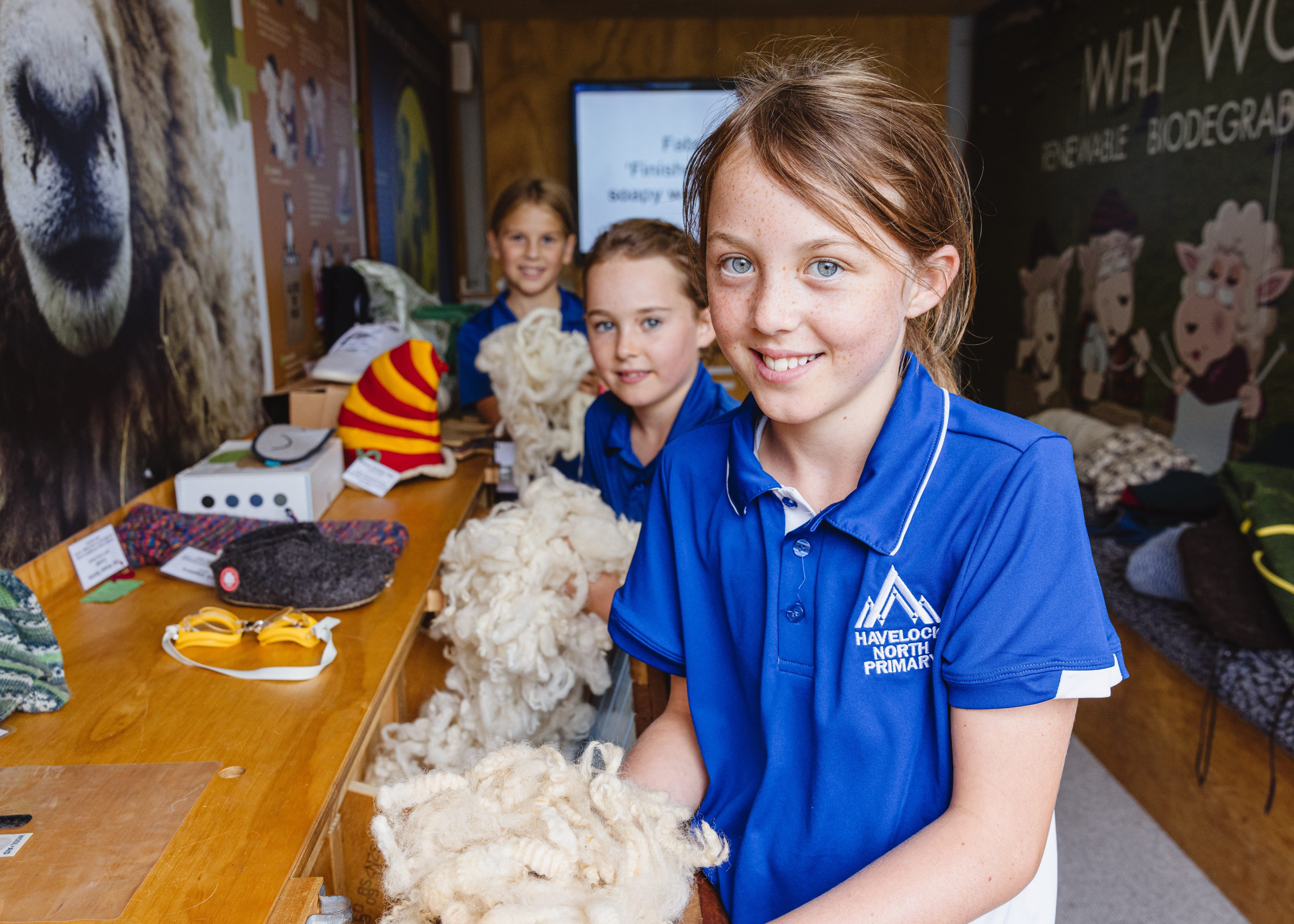 Havelock North Primary School taking on the wool crisis through ...